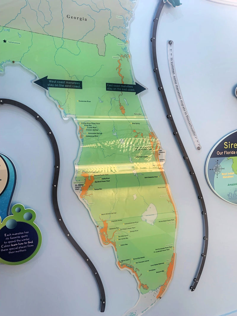 Visitor's Guide: TECO Manatee Viewing Center in Apollo Beach - Florida ...