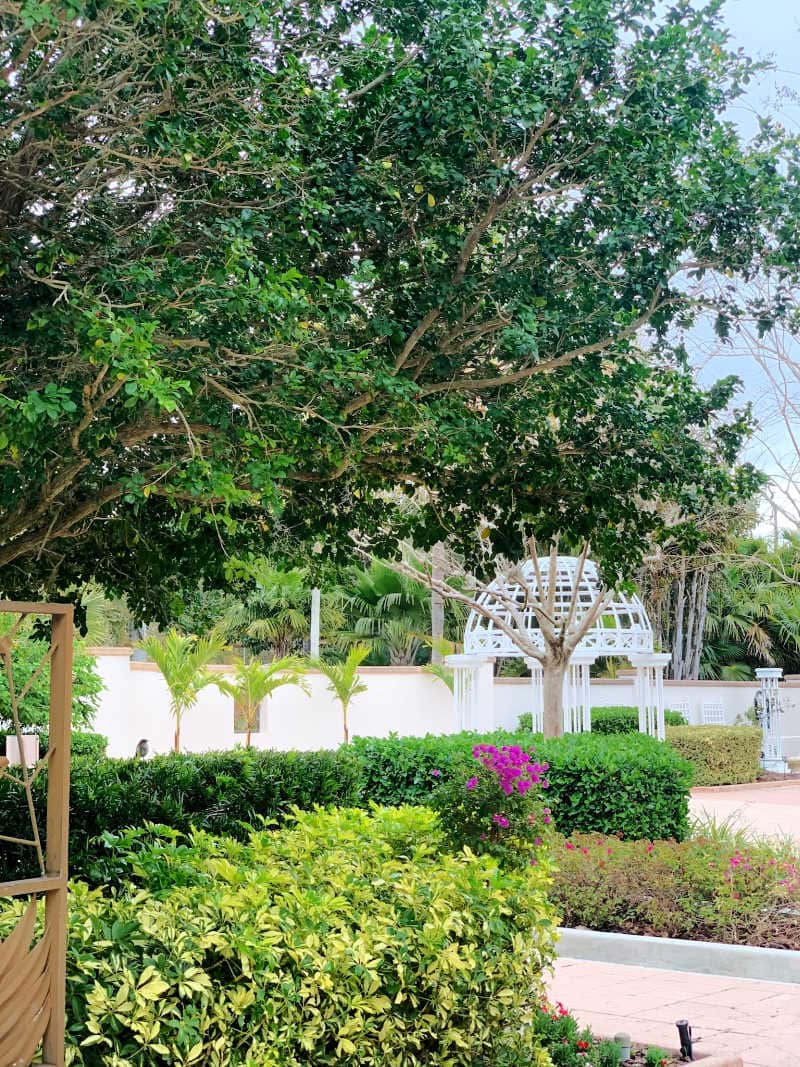 Complete Guide to Visiting Florida Botanical Gardens in Largo - Florida ...