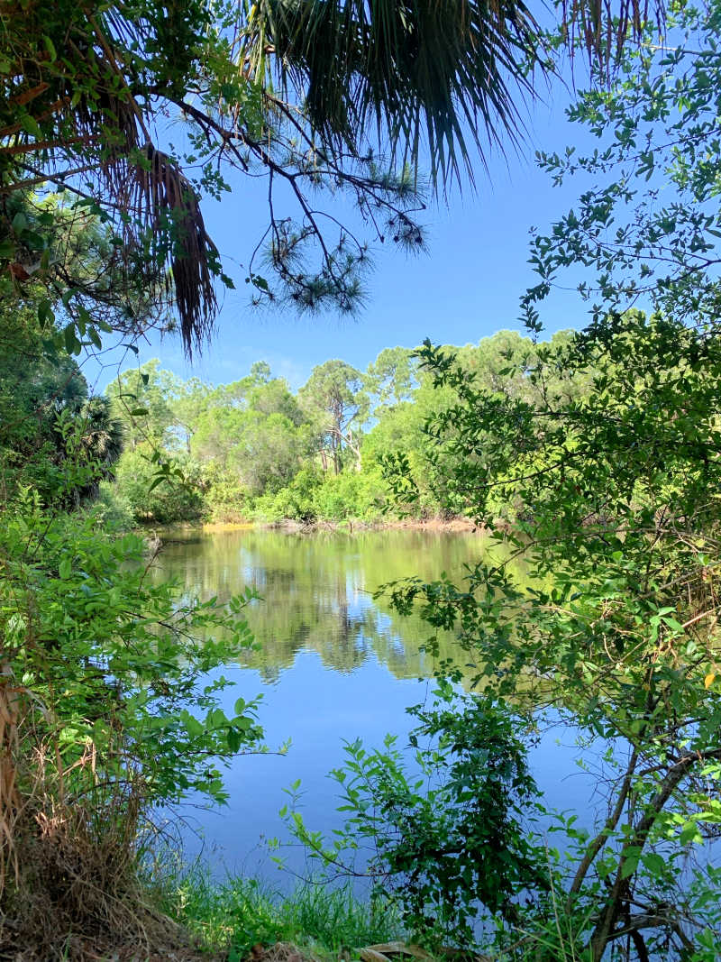 Three Pinellas County Nature Preserves to Visit - Florida on Foot