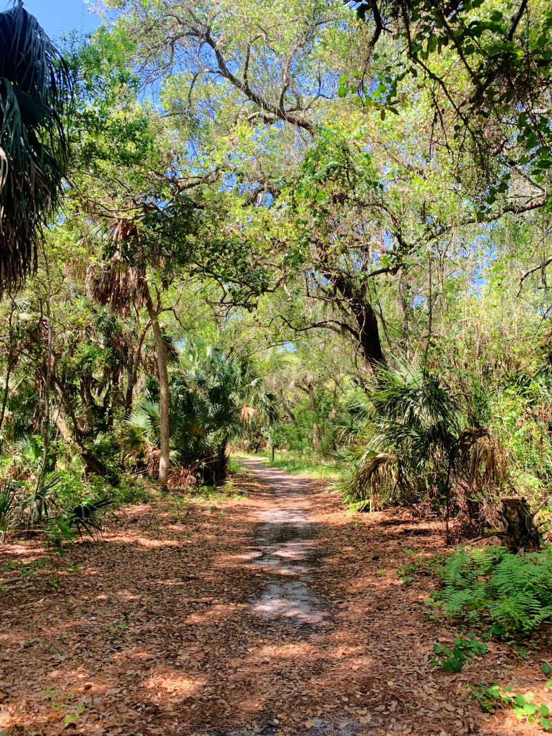 Three Pinellas County Nature Preserves to Visit - Florida on Foot
