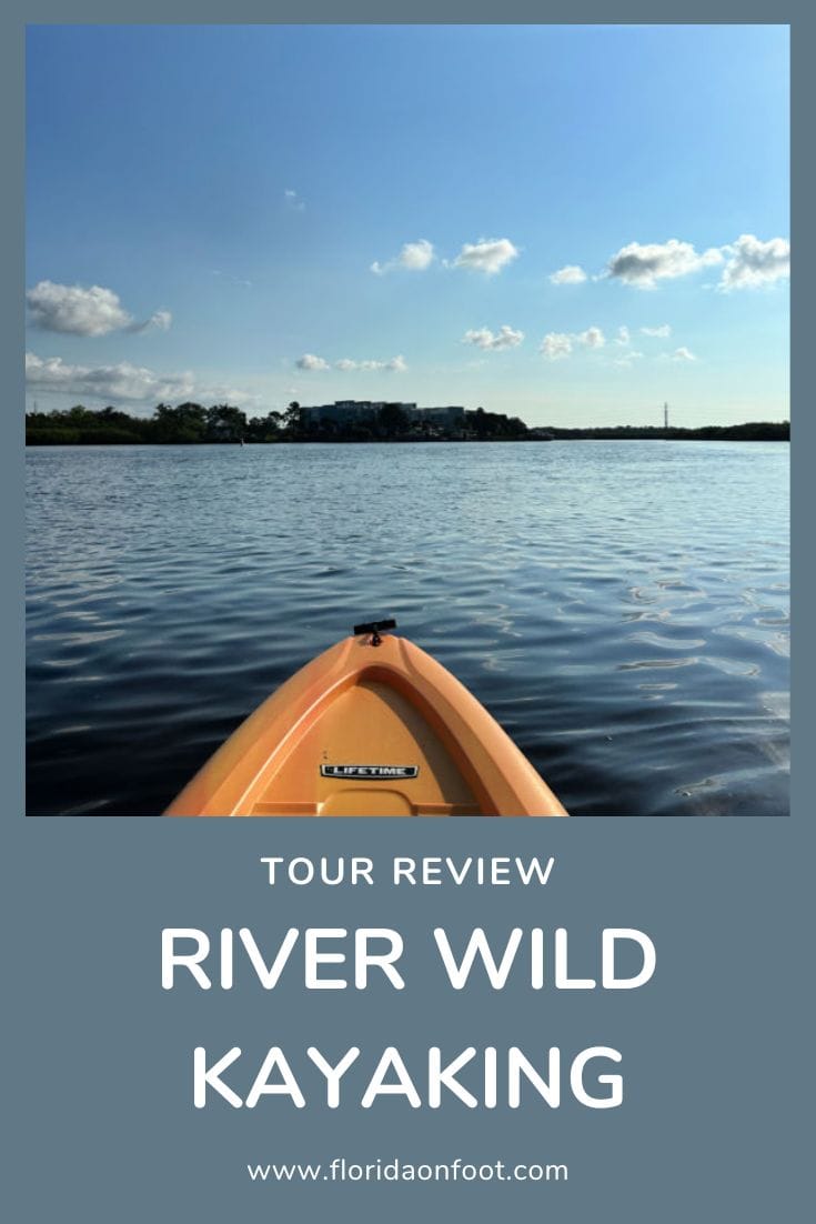 River Wild Kayaking Guided Eco Tour Review - Florida on Foot