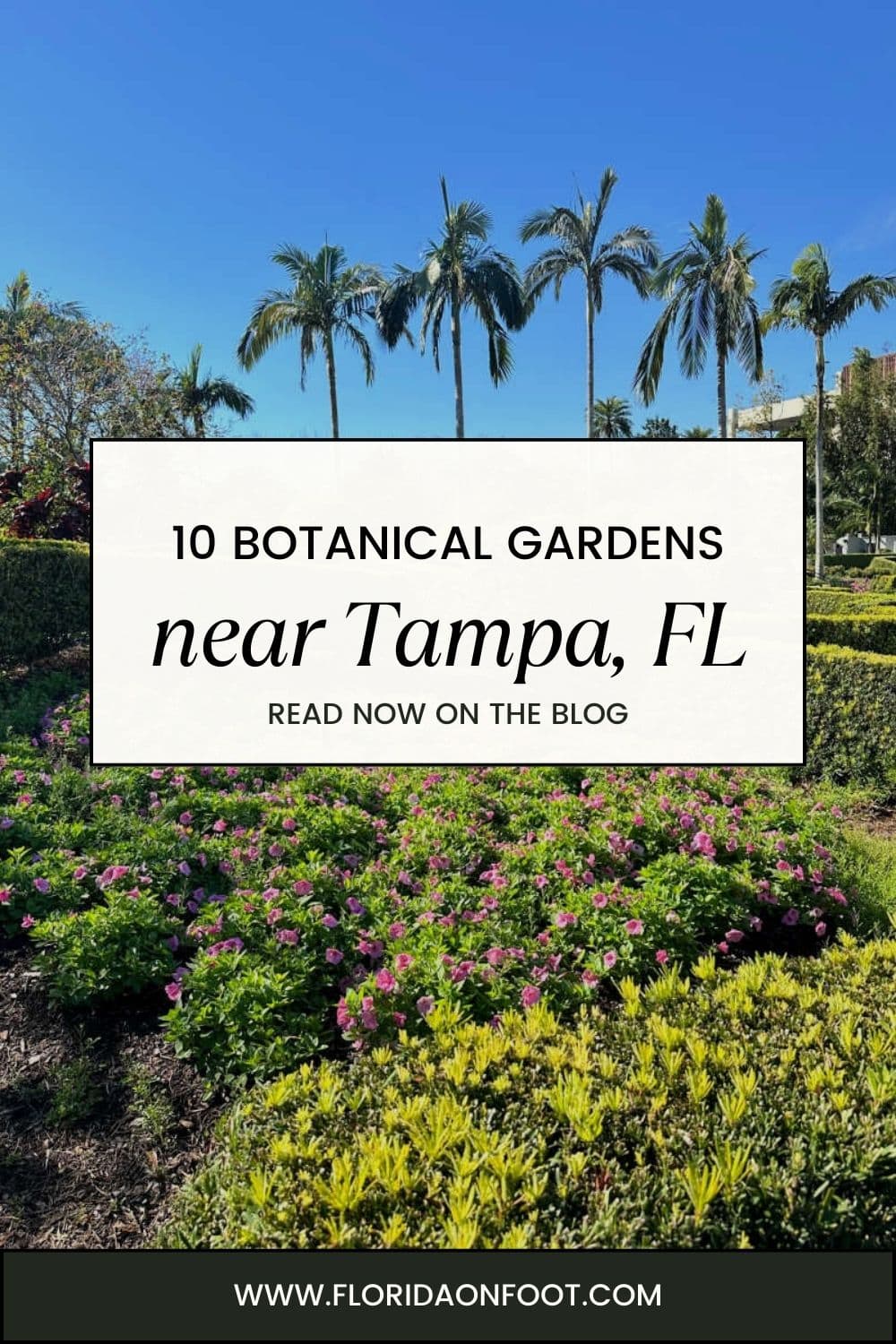 10 Botanical Gardens near Tampa - Florida on Foot