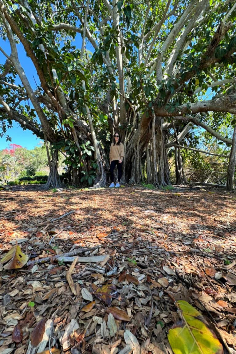 Marie Selby Botanical Gardens: Downtown Sarasota Campus - Florida on Foot