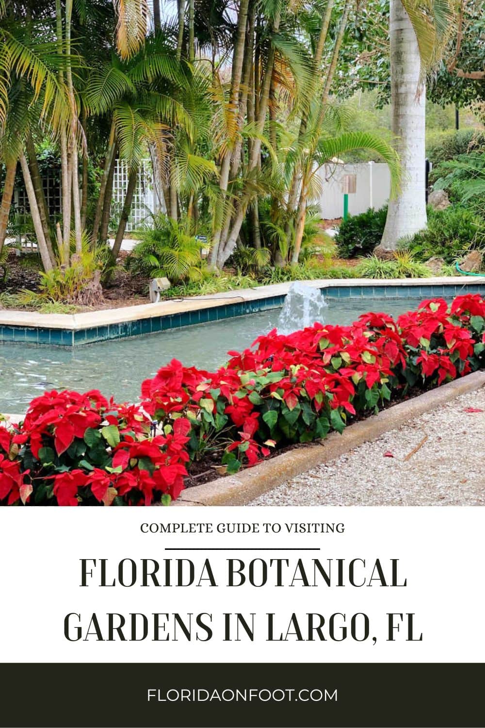 Complete Guide to Visiting Florida Botanical Gardens in Largo - Florida ...