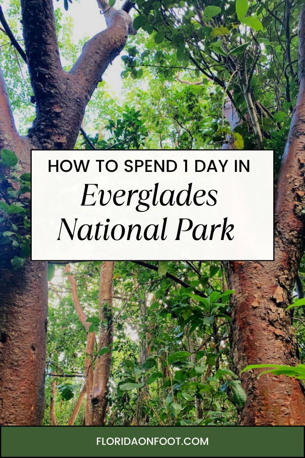 How to Spend One Perfect Day in Everglades National Park - Florida on Foot