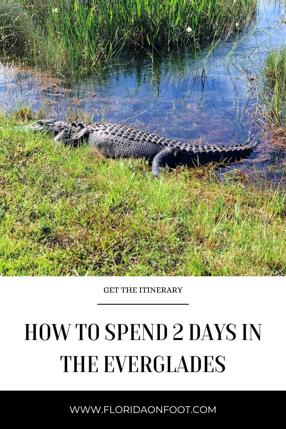 Epic 2 Day Itinerary for Everglades National Park - Florida on Foot