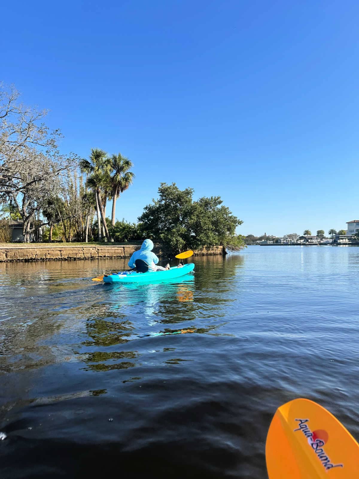 River Wild Kayaking: Manatee Tour Review - Florida on Foot